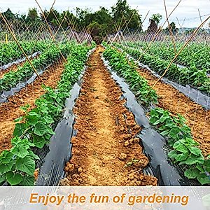 BetyBedy 5 x 15FT Trellis Netting, Heavy-Duty Polyester Plant Trellis Netting, Square Mesh Net for Climbing Plant, Fruits, Vegetables, Vines, Grow Tents (1 Pack, White)