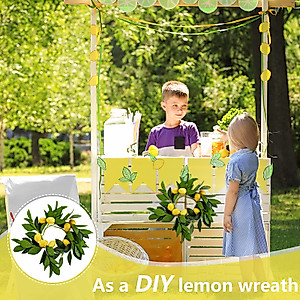 Chuangdi 10 Pieces Artificial Lemon Branches Lemon with Green Leaves Picks Artificial Lemon Picks Decoration for Home or Table Centerpiece, Holiday Farmhouse Garden Kitchen Vase Decoration