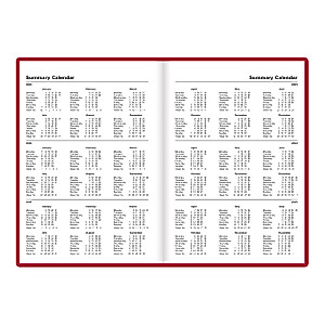 Letts of London Standard Daily Planner, 12 Months, January to December, 2024, Day-Per-Page, A5 Size, 8.25" x 5.875", Burgundy (C10XBY-24)