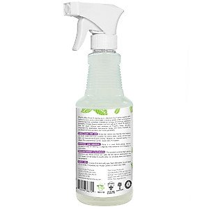 Mighty Mint Peppermint Plant Protection Spray for Insects, Gnats, Fungus, Mites, and Disease, 16 oz