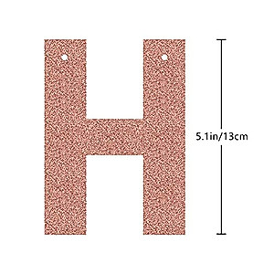 Rose Gold 21st Birthday Banner, Glitter Happy 21 Years Old Boy or Girl Party Decorations, Supplies