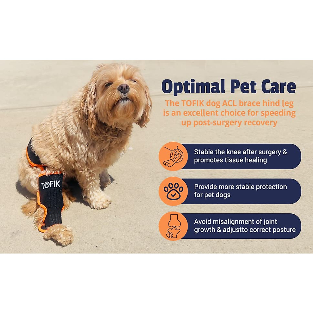 TOFIK Dog Knee Brace for Torn ACL Hind Leg – Premium Neoprene Dog Sling for Large Dogs Hind Leg Support – Washable and Reusable Dog Leg Brace with Flexible Springs (M, Silver)