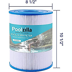 Poolzilla 2-Pack Spa Filter Cartridge Replacement for Watkins 31114, Unicel C-8465, Pleatco PWK65, Filbur FC-3960, 71827, 71828, Tiger River Caspian, Bengal, Sumatran, Caldera 76136 | Spa Filtration