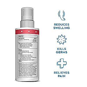 DOGSWELL Remedy + Recovery Medicated Antiseptic Spray for Dogs, 4 oz. (Packaging May Vary)