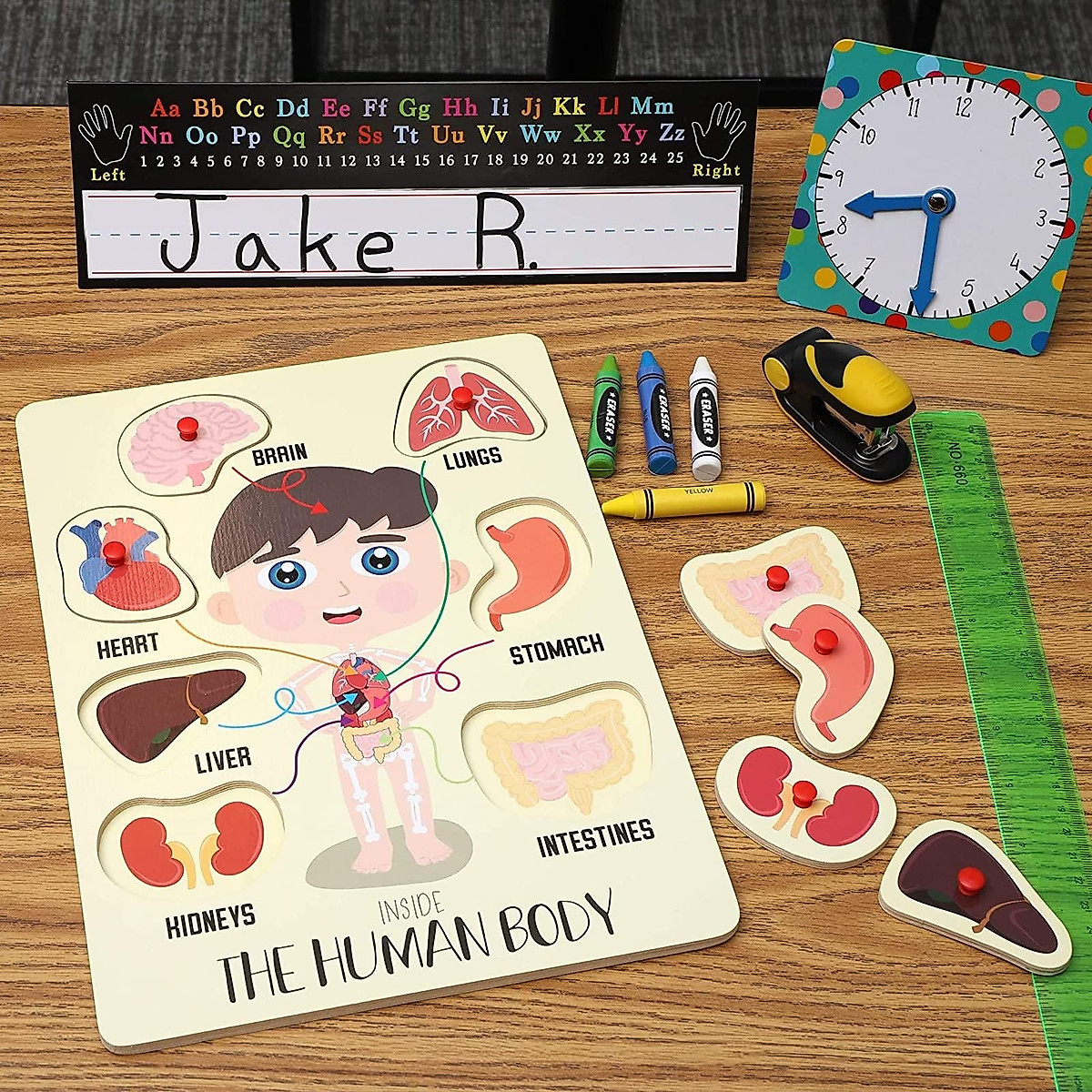 Blue Panda 2 Pack Educational Wood Peg Anatomy Puzzle Toys for Kids Game, Human Body Parts