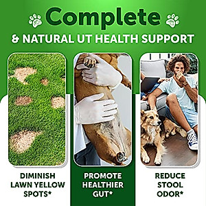 Grass Burn Spot Chews for Dogs - Dog Pee Lawn Spot Saver Caused by Dog Urine - Grass Treatment Rocks - Cranberry + Digestive Enzymes - Dog Urine Neutralizer for Lawn