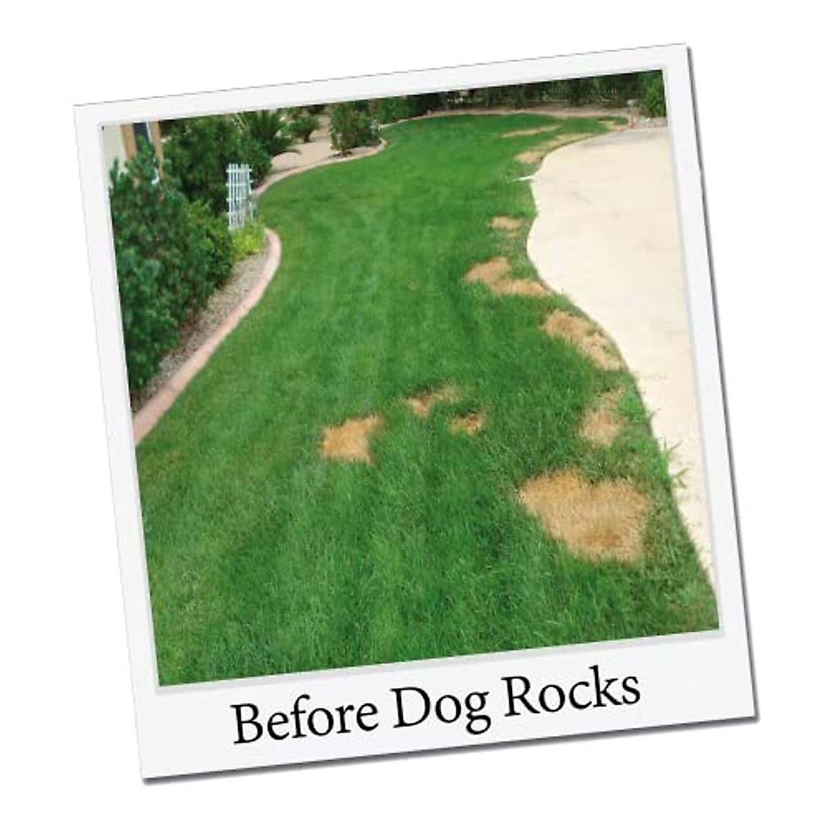 Dog Rocks - Prevent Grass Burn Spots by Urine - Save Your Lawn from Yellow Marks - 600g