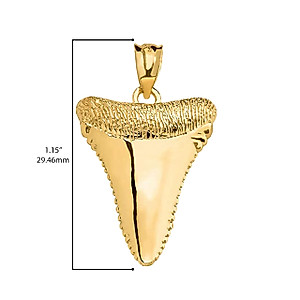 10K Yellow Gold 1-1/8” Lucky Shark Tooth Pendant - Pendant Only