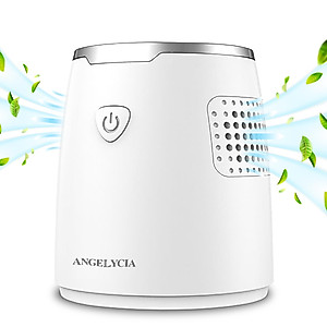 Fridge Odor Eliminator, Cat Litter Odor Eliminator, USB Rechargable Ozone Generator, Fridge Deodorizer, Car, Closet, Wardrobe, Better Than Baking Soda and Charcoal Bags, Air Freshener