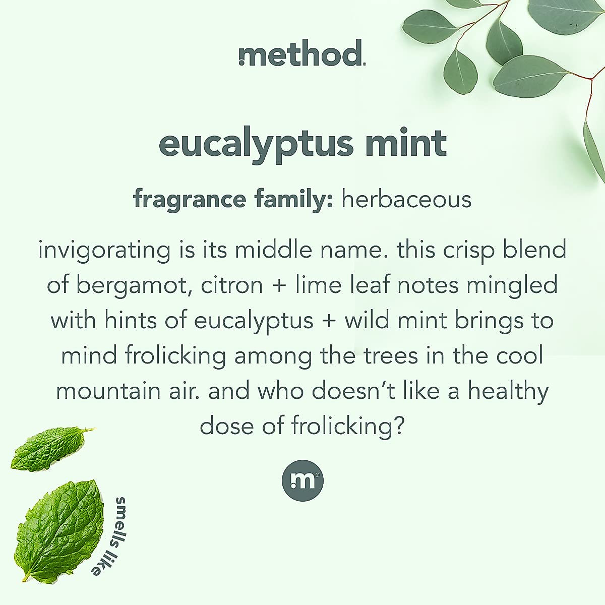 Method Daily Shower Spray Cleaner, Eucalyptus Mint, For Showers, Tile, Fixtures, Glass and Tubs, fl 28 oz (Pack of 1)