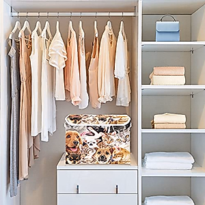 Kigai 3d Print Dogs & Cats Storage Baskets for Shelves Foldable Closet Basket Storage Bins with Lid for Clothes Home Office Toys Organizers