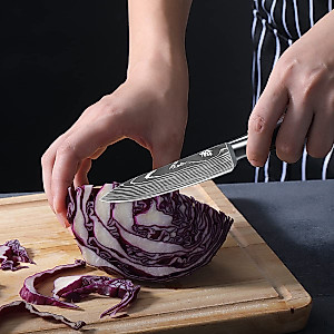 ANBFF Paring Knife, 3.5'' Fruit Knife and 5'' Chef Knife Set, Sharp High Carbon Stainless Steel Small Kitchen Utility Knives, Forged Peeling and Vegetable Knife with Gift Box