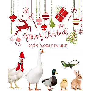 Christmas Pet Chicken Hat Scarf Set for Hens, 12 Pieces Santa Hat Cloak with Adjustable Chin Strap Cute Decorative for Duck Hens Rabbit Kitten