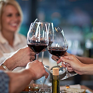 Lainrrew 30 Pcs Tapered Cork Plugs, Wooden Wine Bottle Cork Stoppers Wine Corks for Wine Beer Bottles(0.9 x 1.73")