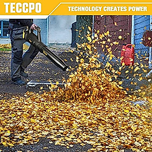 TECCPO Cordless Leaf Blower 20V, Turbine Fan, 85MPH 310CFM Air Volume, Dual Speed Adjustment, 2.0AH Lithium Battery- TDAB02G