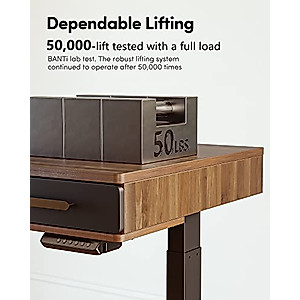 BANTI 48" x 26" Electric Standing Desk, Mid-Century Modern Desk with 3 Drawers, Stand Up Home Office Desks, Vintage Top