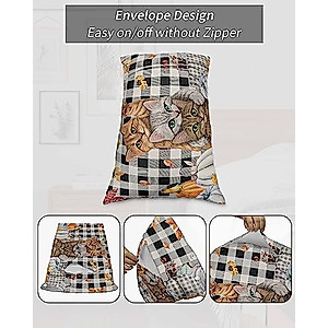 Thanksgiving Pillow Covers Standard Size Set of 2 Bed Pillow, Fall Pumpkin Cats Maple Leaf Black White Plaid Plush Soft Comfort for Hair/ Skin Cooling Pillowcases with Envelop Closure 20''x26''