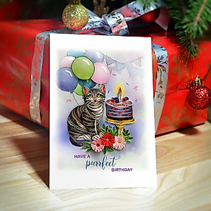 TUMYBee - Have a Purrfect Birthday Cat Card, 5in x 7in, Blank Inside, Envelope Included