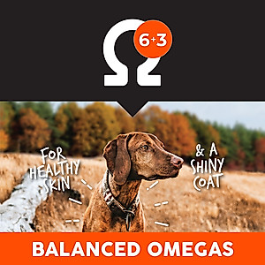 Ultimates Large Breed Adult Dry Dog Food (40 lb. Bag)