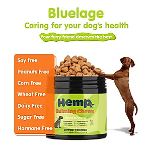 Hemp Calming Chews for Dogs Anxiety Separation Anxiety Relief for Dogs Calming Treats Pet Calming Care Chews for Dogs Stress and Anti Anxiety Relief, Beef, 120 Count