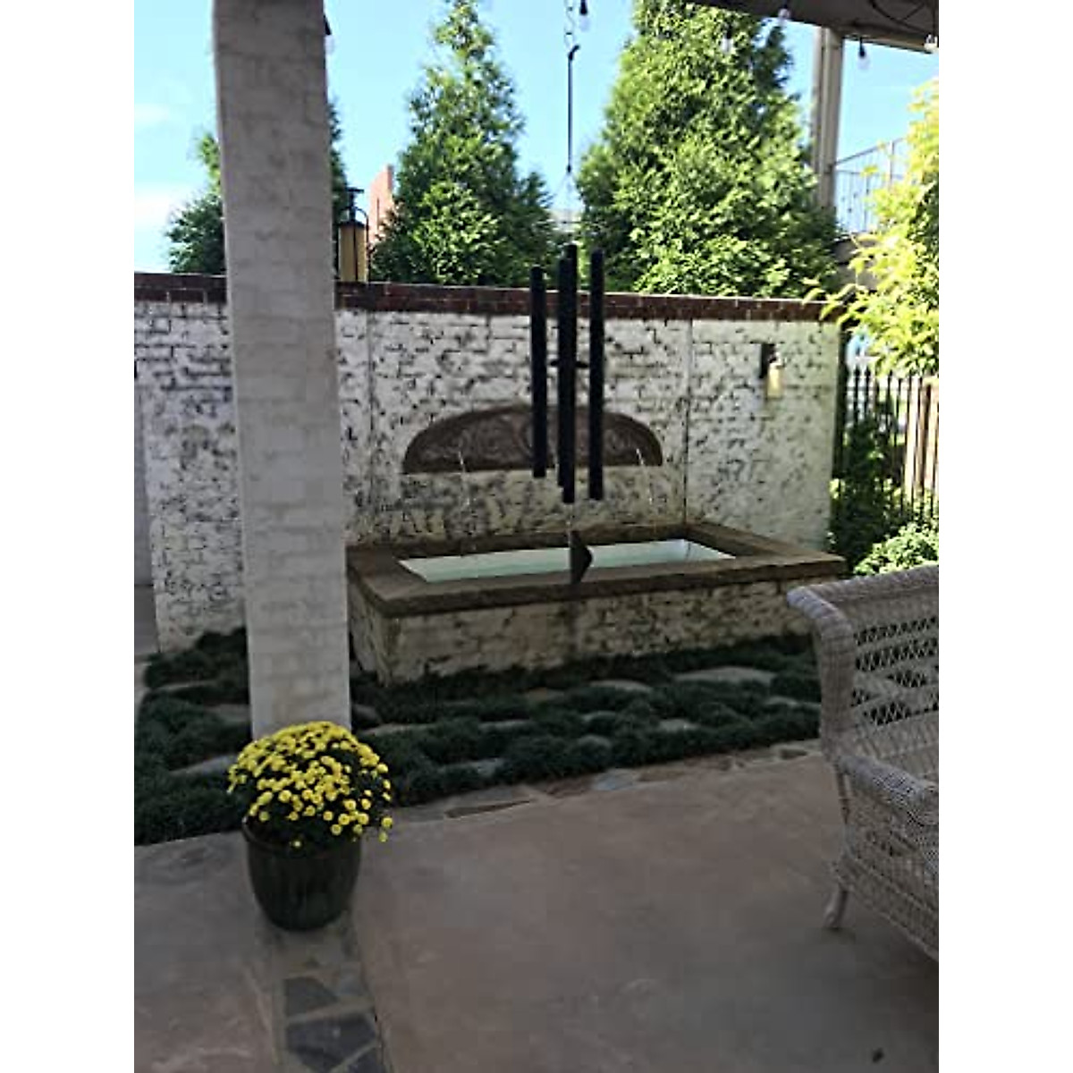 Dwarf Mondo Grass Qty 90 Live Plants Shade Loving Evergreen Ground Cover