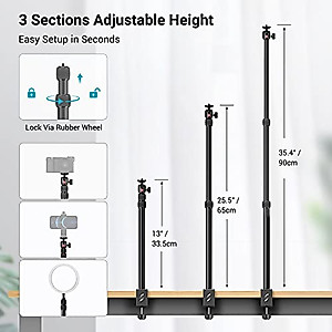 SmallRig Selection Camera Desk Mount Table Stand, Adjustable Light Stand 13"-35", Tabletop C Clamp for DSLR Camera, Ring Light, Live Streaming, Photo Video Shooting (1 PC)