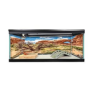 Reptile Habitat Background; Double Arch with Tree for 20L, 3-Sided Wraparound