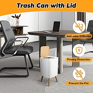 WVIOUOPU 2.6 Gallon/10 Liter Bathroom Kitchen Trash Can with Lid - Office Waste Basket Modern with Press Top Lid - Small Trash Bin Dog Proof Garbage Can with Pop-up Lid for Living Room Toilet (White)