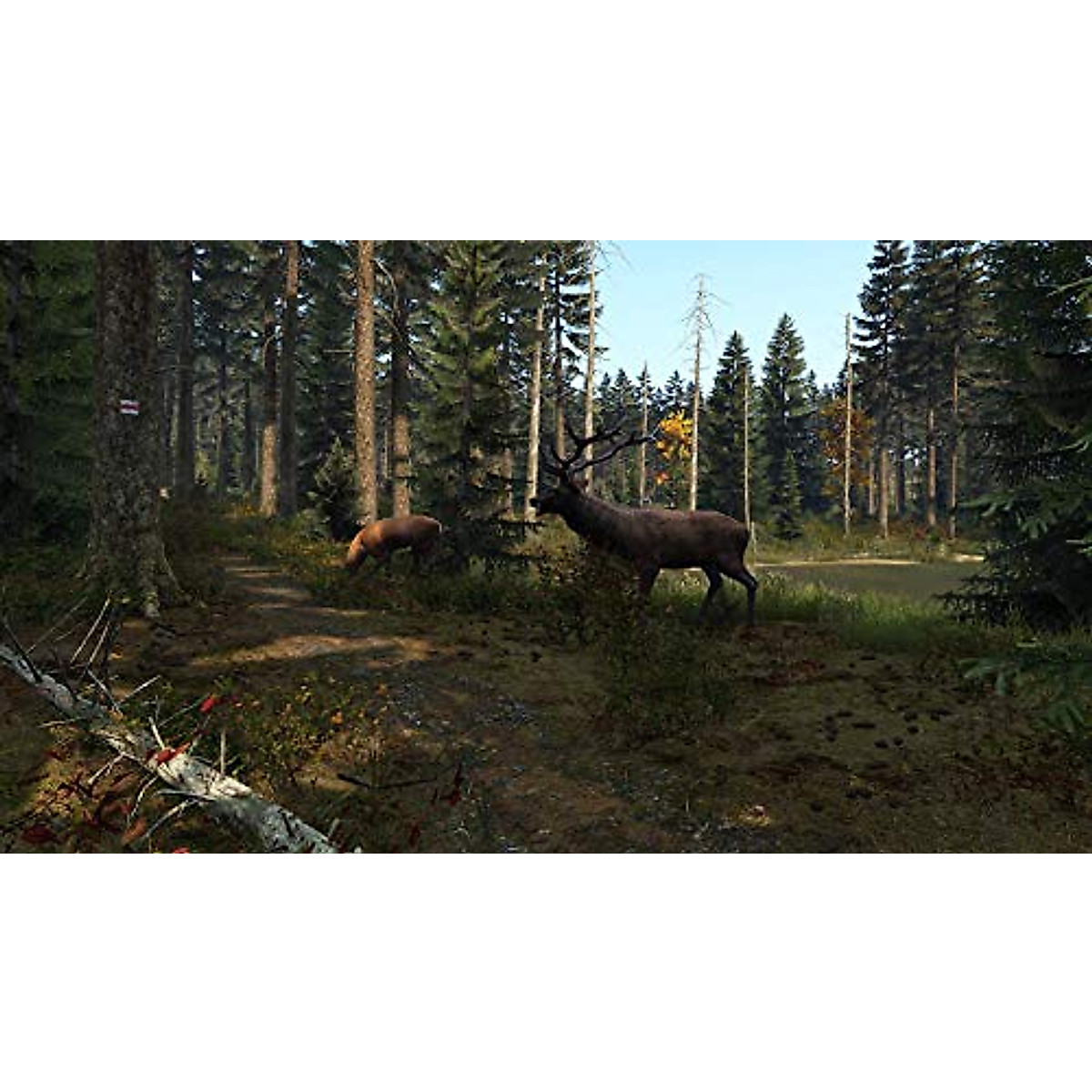 Dayz - PlayStation 4