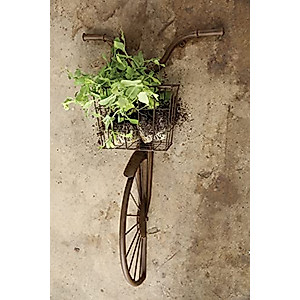 Creative Co-op DA6000 Iron Bike Shape Wall Decor with Basket, Rust