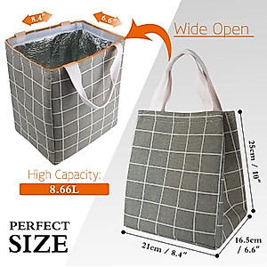 Daixers Lunch Bag Insulated Lunch Box for Women Men Kids,Reusable Adult Lunch Tote Bags for School, Work or Travel (Black Plaid)