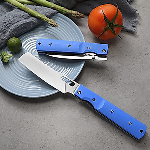ZhengSheng Folding Chef Knife 4.8" Sharp 440A Stainless Steel Blade G10 Handle Pocket Foldable Kitchen Knife Utility Knife for Outdoor Camping Cooking