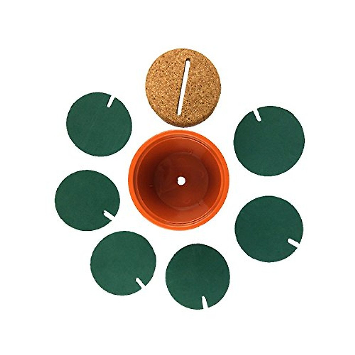 TriPro Original Coasters Set of 6 Pieces with Creative Cactus Shaped Design for Holiday Gift & Home Decoration