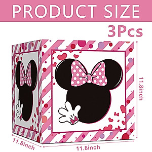 Pink Mouse Girl 1st Birthday Party Decorations Balloon Boxes, 3pcs Pink Mouse Theme One Years Old Birthday Balloon Boxes,for Girl First Birthday Party Decorations Supplies