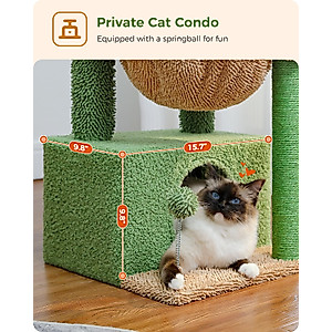 PEQULTI 4-in-1 Cactus Cat Tree, 33'' Cat Tower for Indoor Cats with Large Cat Condo, Cat Scratching Post for Cats with Deep Hammock& Cozy Top Perch,Green