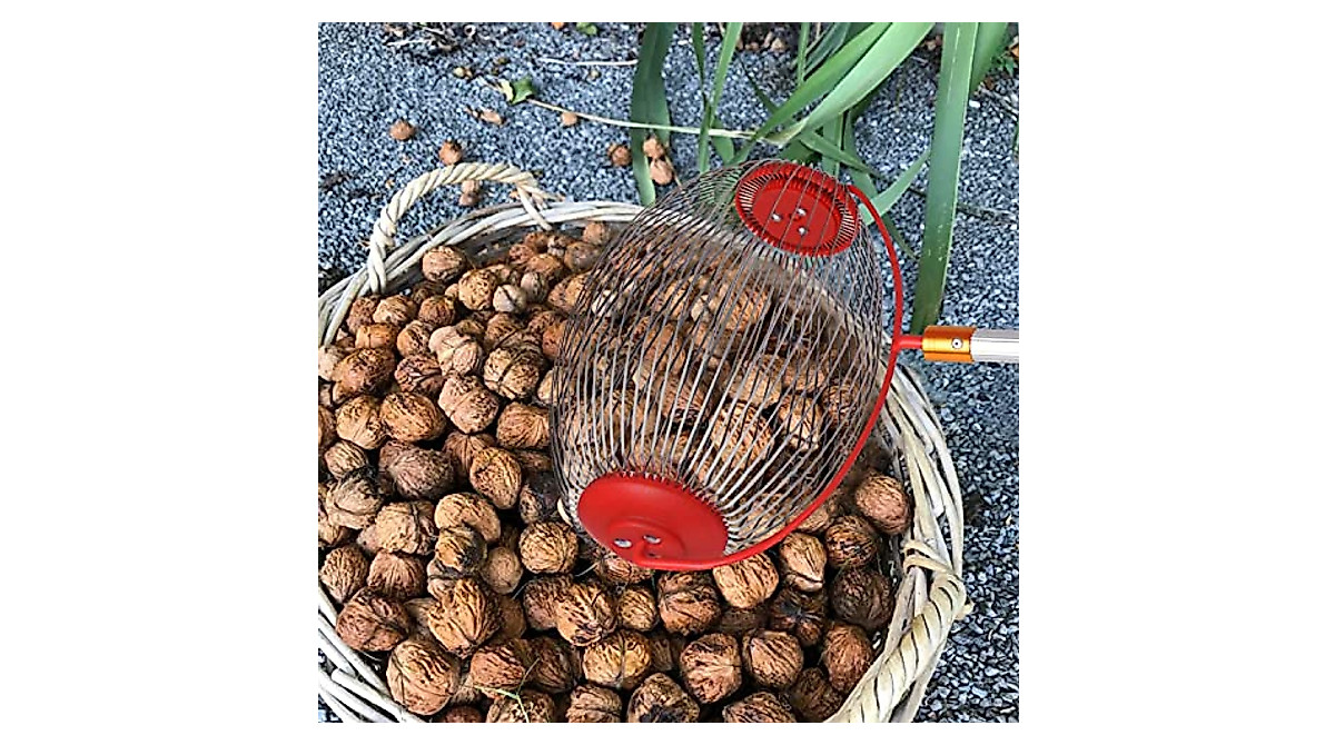Large Nut Gatherer - Lightweight Garden & Outdoor Cleanup Tool