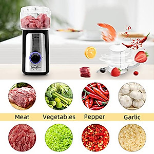 Sangcon 5 in 1 Blender and Food Processor Combo for Kitchen, Small Electric Food Chopper for Meat and Vegetable, 350W High Speed Blenders with 2 Speeds and Pulse for Smoothies and Shakes