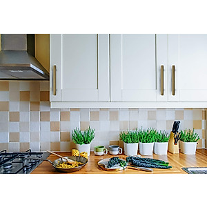 Ravinte 30 Pack 5 Inch Cabinet Pulls Brushed Brass Stainless Steel Kitchen Drawer Pulls Cabinet Handles 5”Length, 3” Hole Center