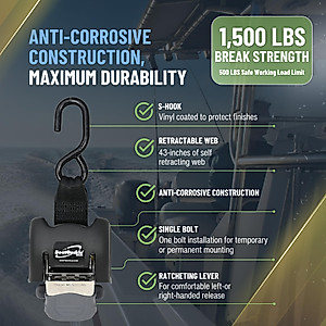 BoatBuckle G2 Stainless Steel Retractable Transom Tie-Down (2 x 43-Inch, Black)