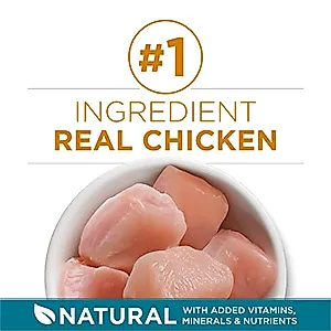 Purina ONE Natural Dry Cat Food, Tender Selects Blend With Real Chicken - 22 lb. Bag