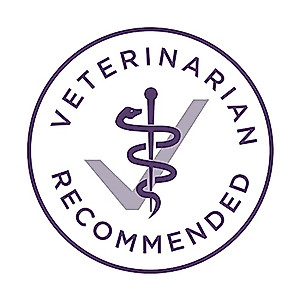 Purina ONE High Protein Dry Senior Dog Food Plus Vibrant Maturity Adult 7 Plus Formula - 31.1 lb. Bag