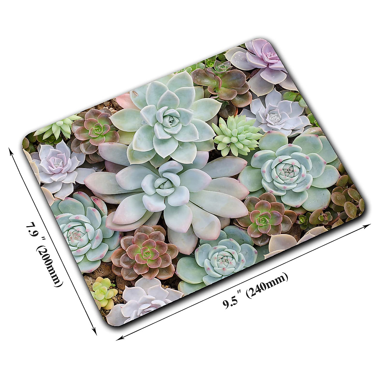 Cute Succulents Mouse Pad, Natural Plants Mousepad for Design, Anti-Slip Rubber Base Wireless Mouse Pads for Laptop