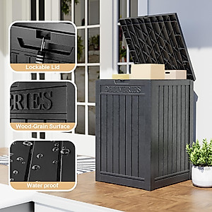 MAIUSCOLI 48 Gallon Resin Package Delivery Box - Rust & Moisture Resistant, Lockable, Waterproof Deck Box for Porches, Patios, Indoor & Outdoor Use (Blcak, 48 Gallon)