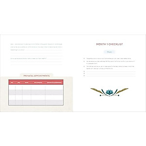 The First-Time Mom's Pregnancy Journal: Monthly Checklists, Activities, & Journal Prompts