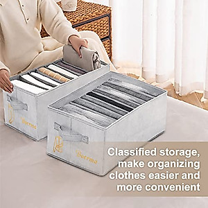 Wanglaism Wardrobe Clothes Organizer for Folded Clothes,Pants, Storage Container Closet Organizers and Storage (2 Pack)