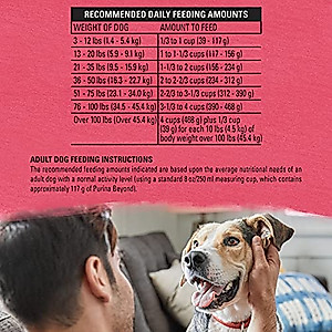 Purina Beyond Natural Dry Dog Food, Superfood Blend Salmon, Egg & Pumpkin Recipe - 3.7 lb. Bag