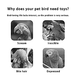 Parrots Playstand, Bird Playground, Bird Parrot Perch Stand, Parrot Climbing Ladder Swing Toy for Small Parakeets, Cockatiels, Finches, Budgie(14.57 * 10.24 * 17.32IN)