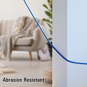 Worth Garden 25' Air Hose, 1/4 inch x 25 ft, 1/4 in. MNPT Fittings, 300 PSI Heavy Duty, Lightweight, All-Weather Flexibility Air Compressor Hose with Solid Brass Couplings, Blue