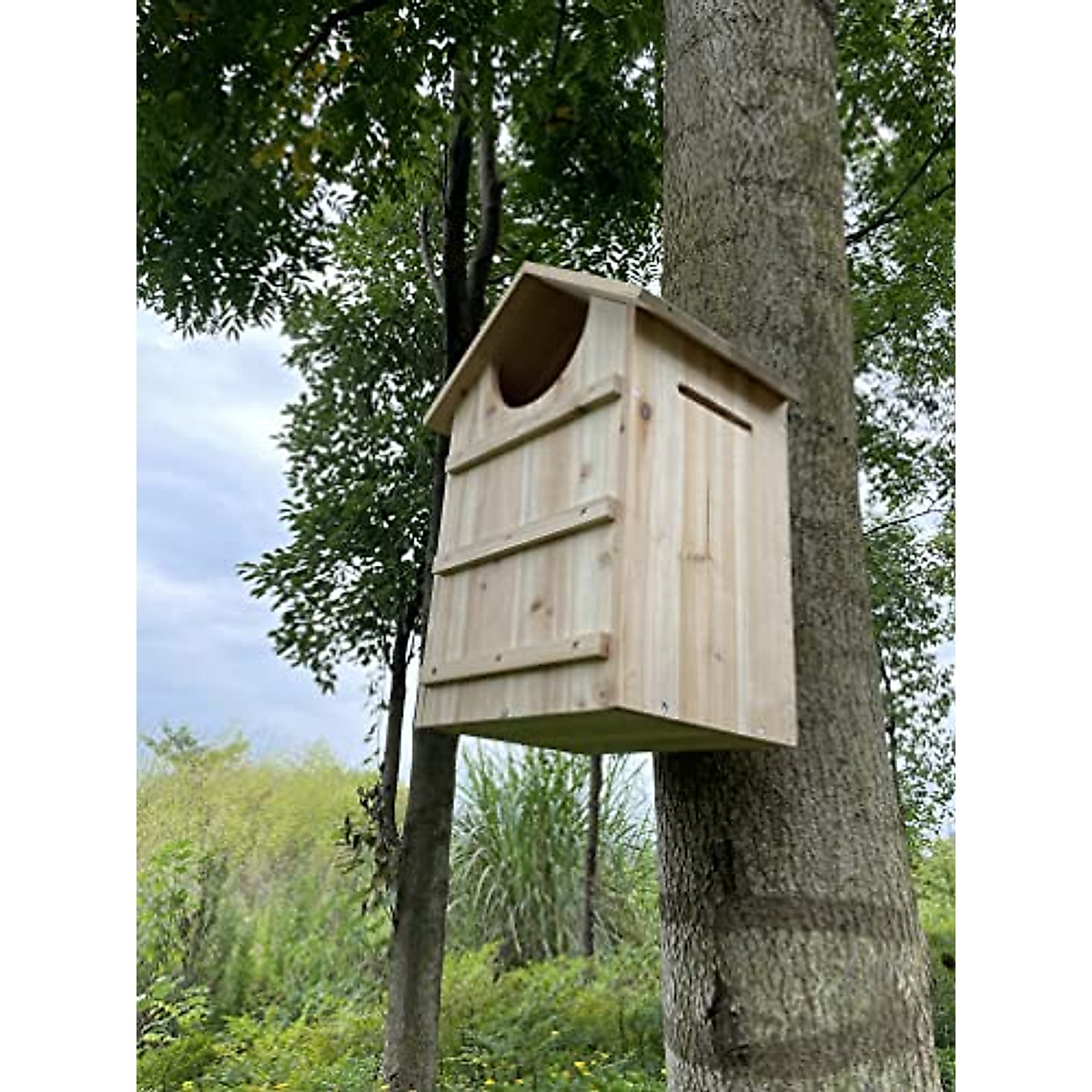 Sundia Screech Saw Whet Owl Kestrel Flicker Barn Large Big Bird Nesting Wooden Box Resident Habitant House (D100)