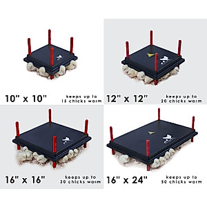 RentACoop Chick Brooder Heating Plate and Anti-Roost Cone Set - Brooder Heat Plate Warms Up to 30 Chicks - Chick Heater with 25 Adjustable Heights and 42 Watts - Safer Than Heat Lamps - 16" x 24"